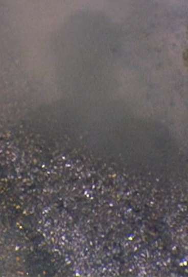 Reflections on My Shadow - Movie | Moviefone