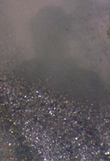 Reflections on My Shadow - Movie | Moviefone