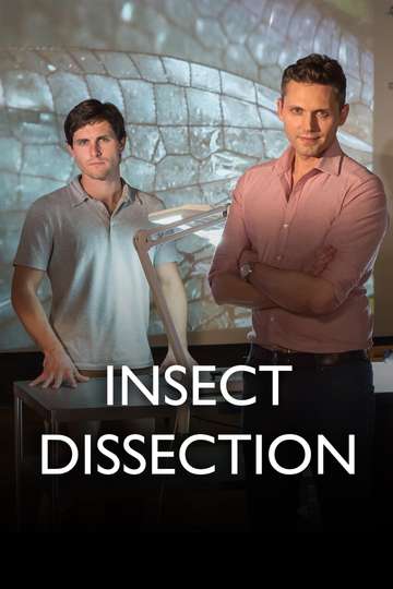 Insect Dissection (2013) | Moviefone
