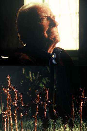 Providence - Movie | Moviefone