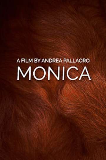 Monica Showtimes and Tickets | Moviefone