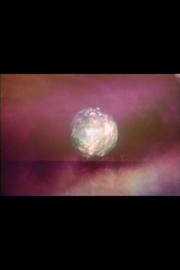 Bardo - Movie | Moviefone