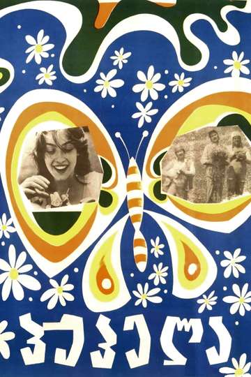 Butterfly - Movie | Moviefone