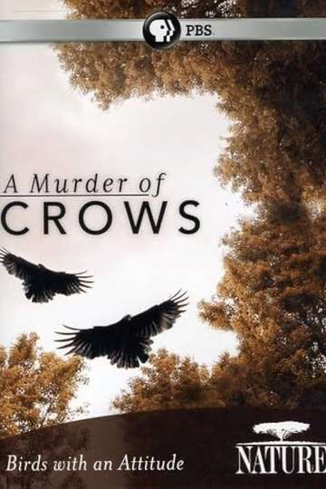 A Murder of Crows | Moviefone
