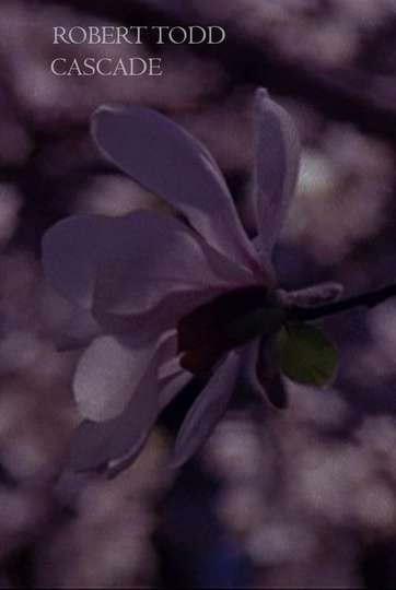 Where to Watch Cascade (2009) | Moviefone