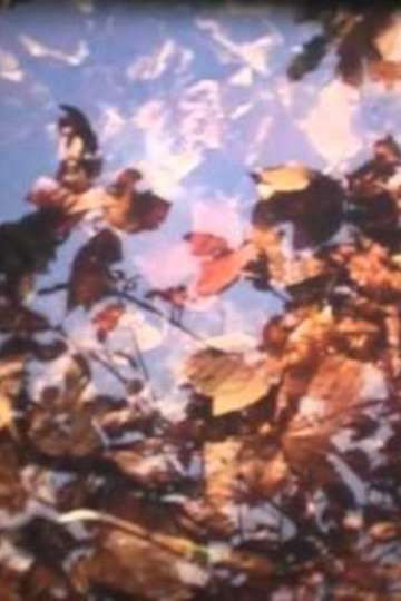 The Shepherd Boys Coronation - Where to Watch | Moviefone