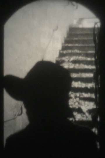 Endless Flâneuring - Movie | Moviefone