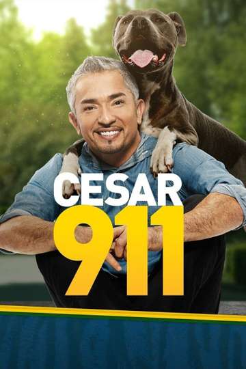 Cesar 911 (2014-2016) - TV Show | Moviefone