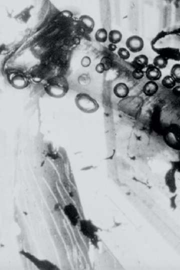 Keratin Reserve - Where to Watch | Moviefone