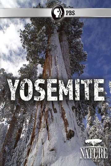Nature: Yosemite - Movie | Moviefone