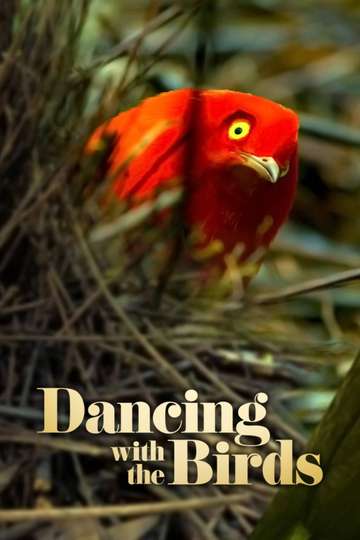 Dancing with the Birds (2019) Stream and Watch Online | Moviefone