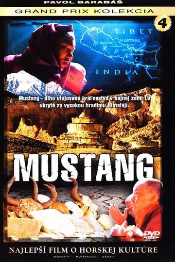 Mustang - Movie | Moviefone