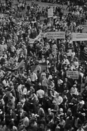 Solitaire - Movie | Moviefone