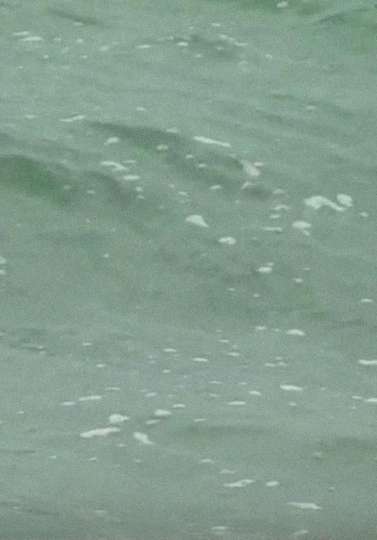 Cape Cod - Movie | Moviefone