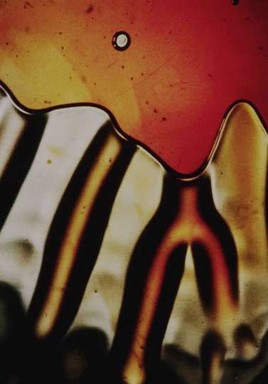 Flicker / Light Show / Collage - Where to Watch | Moviefone