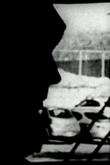 Perceptual Subjectivity | Moviefone