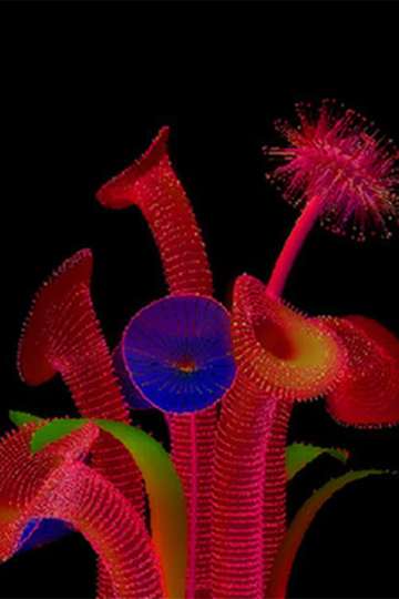 Thalé Streaming - Where to Watch Online | Moviefone