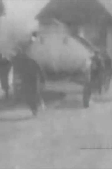 Boat Wagon and Beach Cart (1897) - Movie | Moviefone