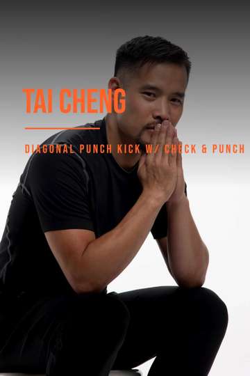 Tai Cheng - Diagonal Punch Kick With Check & Punch - Movie | Moviefone