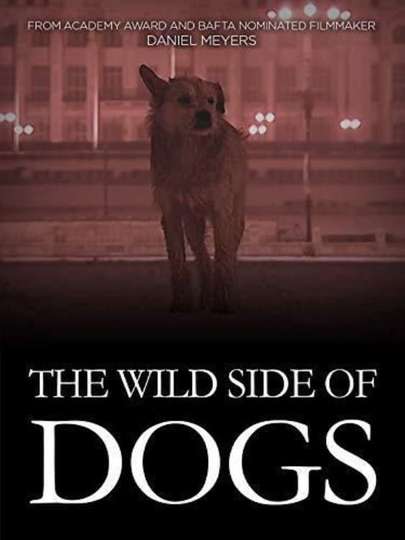 The Wild Side of Dogs - Where to Watch | Moviefone