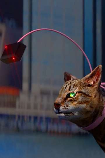 Catwalker and the Catwalker’s Intern - Movie | Moviefone