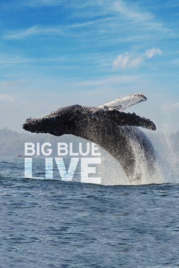 Big Blue Live (2015) Streaming - Where to Watch Online | Moviefone