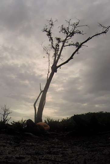 Octopus - Movie | Moviefone