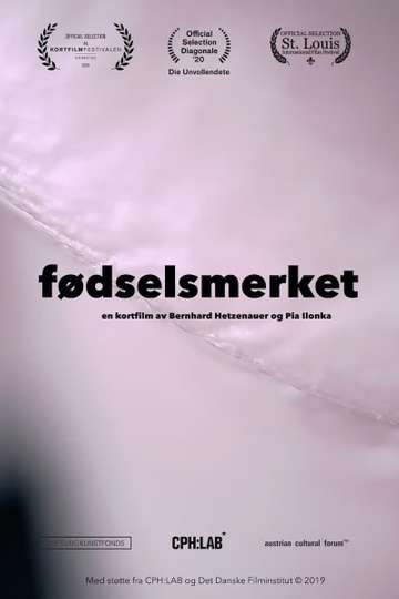 The Birthmark - Movie | Moviefone