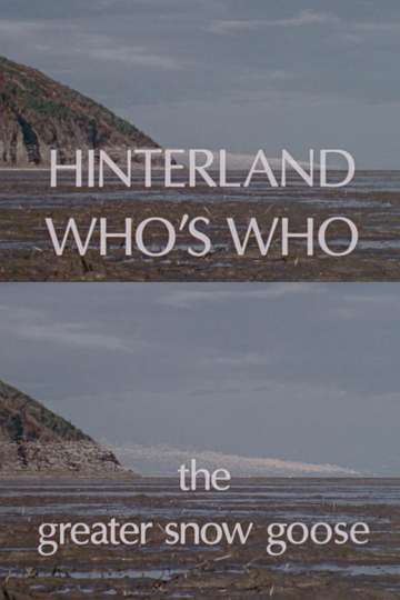 Hinterland Who's Who: The Greater Snow Goose - Movie | Moviefone