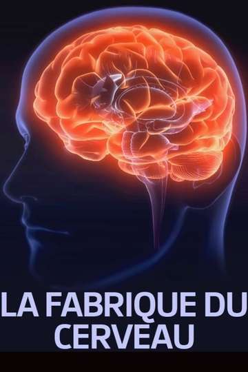 La fabrique du cerveau - Movie | Moviefone