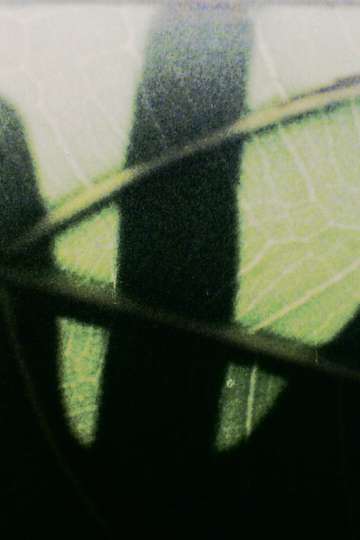 Neon Cortex | Moviefone