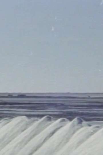 Ciao Bella Ciao - Movie | Moviefone