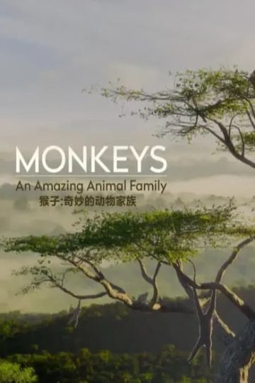 Monkeys: An Amazing Animal Family Season 1: Episode Guide & Ratings ...