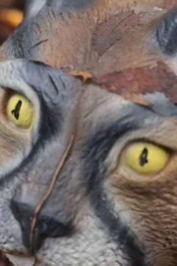 Where to Watch Ellipsis | Moviefone