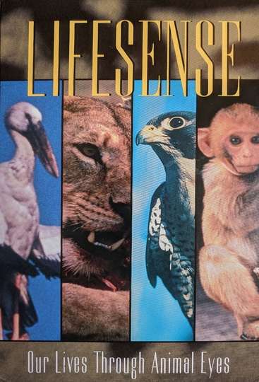 Lifesense (1991) - Seasons Guide | Moviefone
