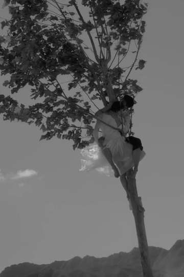 In the Wind - Where to Watch | Moviefone