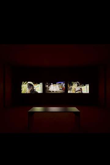 Triptych - Movie | Moviefone