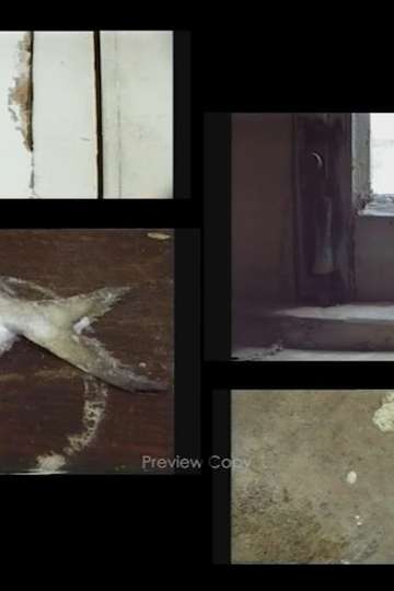 Empty World - Movie | Moviefone