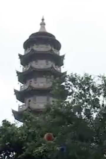 Tayuan - Movie | Moviefone