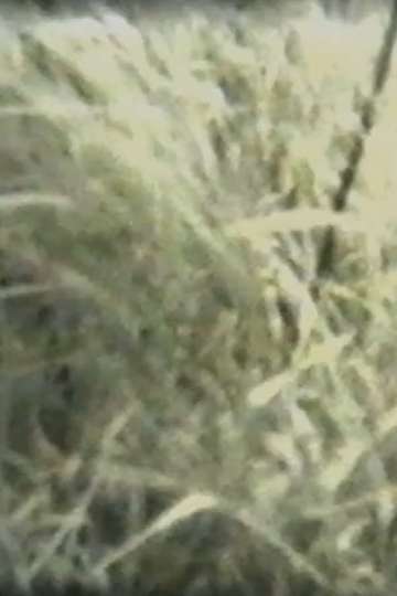 Grass - Where to Watch | Moviefone