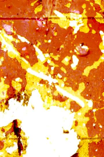 Reliving the Past by Sea (2021) - Movie | Moviefone