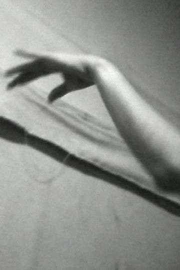 Fly Fly - Where to Watch | Moviefone