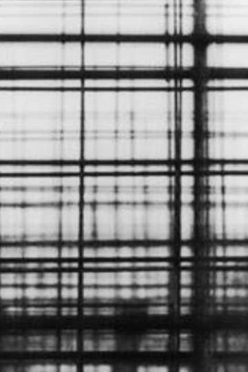 We Are Building - Movie | Moviefone