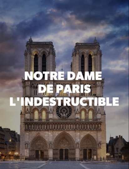 Notre-Dame de Paris L'indestructible - Movie | Moviefone