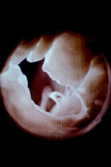 心 Heart (Radical 61) (2020) Streaming - Where to Watch Online | Moviefone