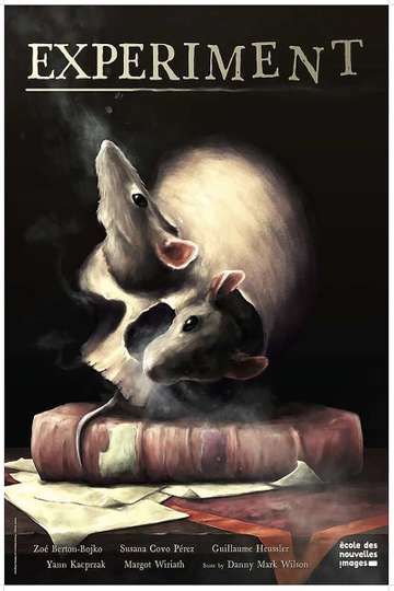 Experiment - Movie | Moviefone