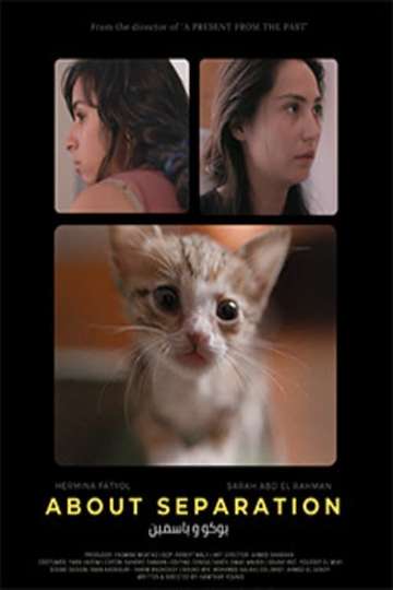 About Separation - Movie | Moviefone