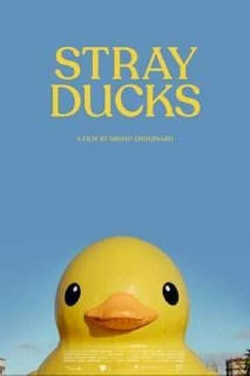 Stray Ducks - Movie | Moviefone