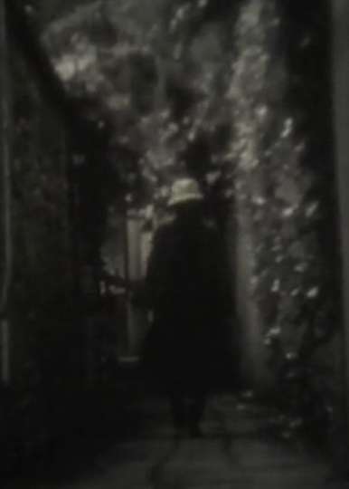 The Night of Copernicus - Movie | Moviefone