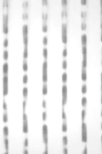 Capture décran 1 - Movie | Moviefone